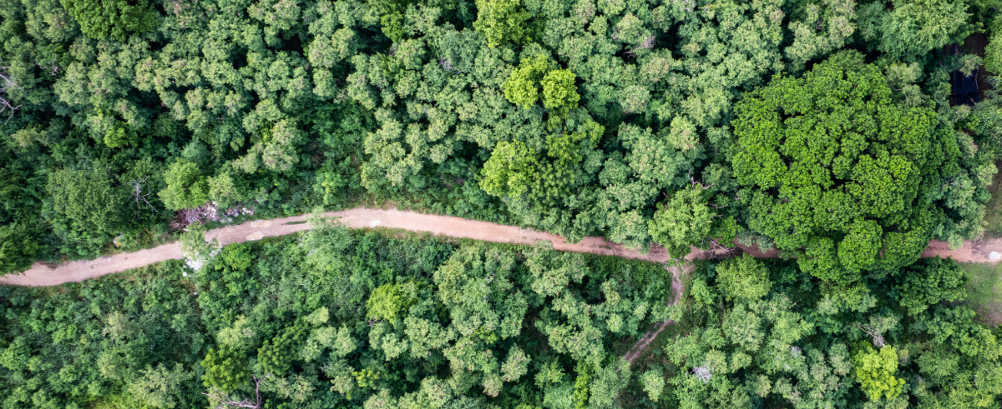 A Tech Roadmap For Your Decarbonisation Journey British Property